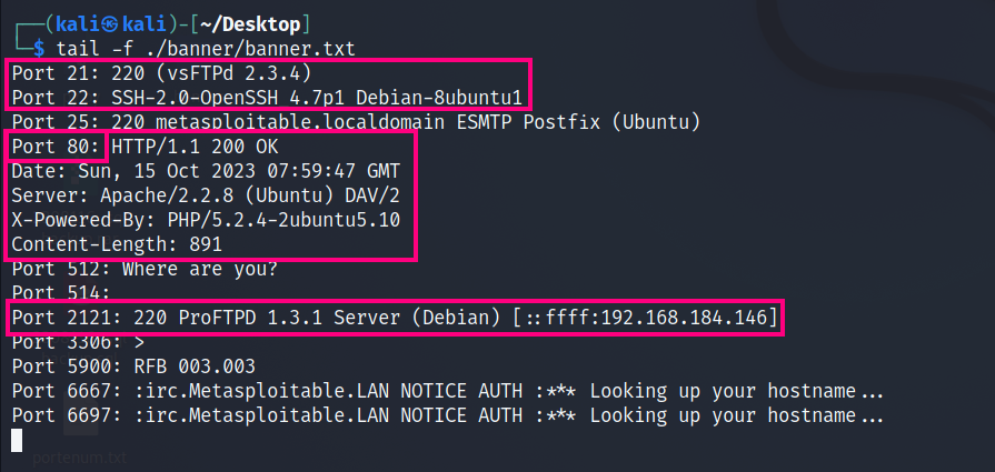Back 2 Basics: /dev/tcp – acc3ssp0int